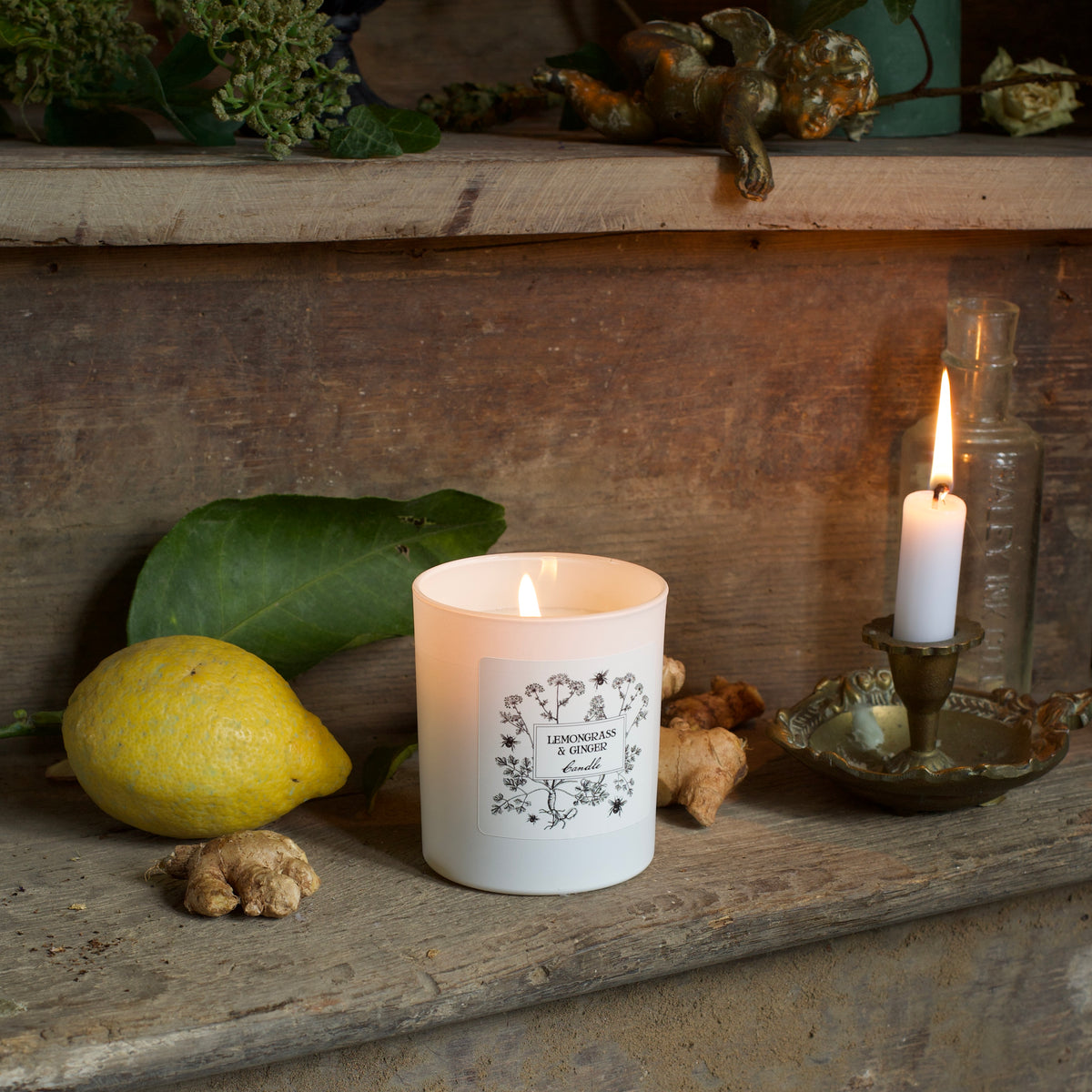 Lemongrass & Ginger Candle – The Curiosity Society